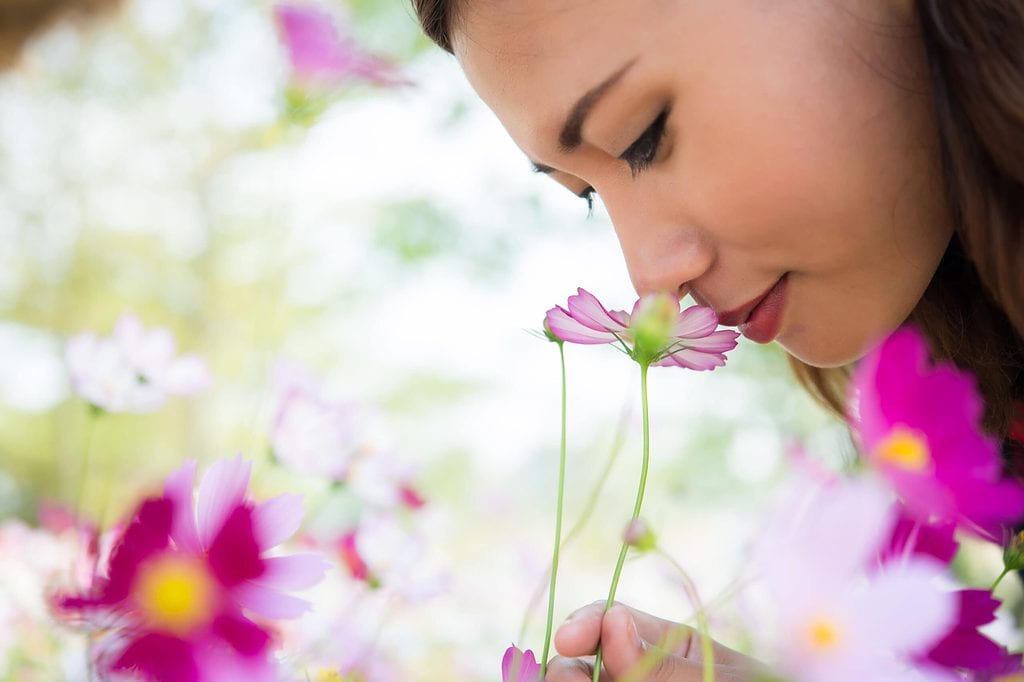 Geuren en kleuren - waarom ruiken bloemen | deBloemist.nl